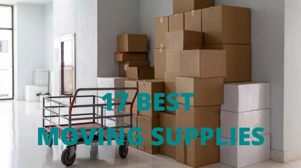 17 Best Toronto Moving Supplies: The Complete Essentials List
